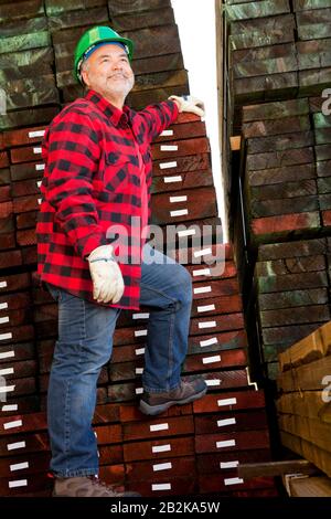 Worker inspecting wood in front of hard wood pile Stock Photo - Alamy