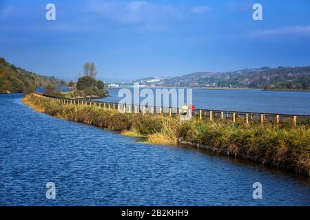Victoria Lock, by the Newry Canal, Ireland Stock Photo - Alamy