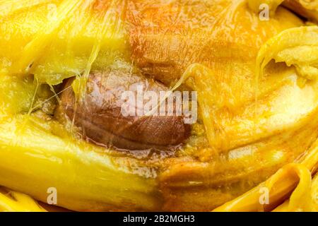 Close Up Shot Of A Breadfruit Pulp Seed In The Center Stock Photo - Alamy