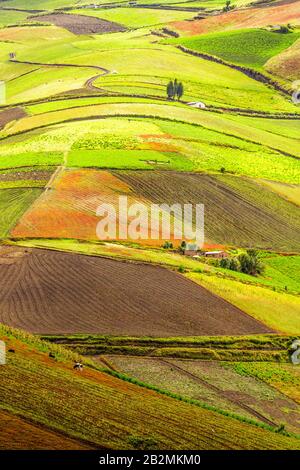 Cultivated fields in the high Ecuadorian Andes Stock Photo - Alamy