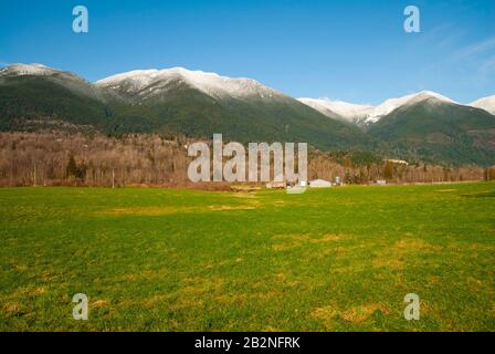 Agricultural land on Nicomen Island near Deroche, British Columbia ...