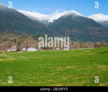 Agricultural land on Nicomen Island near Deroche, British Columbia ...