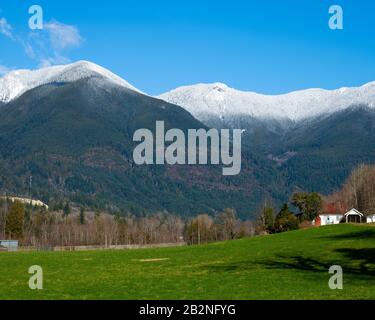 Agricultural land on Nicomen Island near Deroche, British Columbia ...