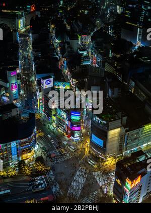 A panorama picture of Shibuya City as seen from above (Tokyo Stock ...