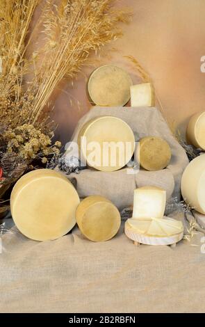 Various round cheeses Stock Photo - Alamy