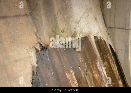 water seeping from crack in concrete wall structure Stock Photo - Alamy