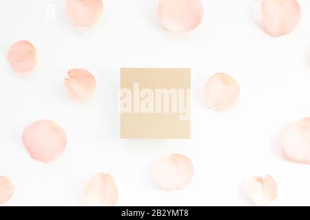 Empty white paper and pink rose with a colored background. Valentines ...