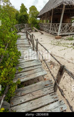 Viewing/Lecture Point at Gazi Mangrove Boardwalk, Kenya Stock Photo - Alamy