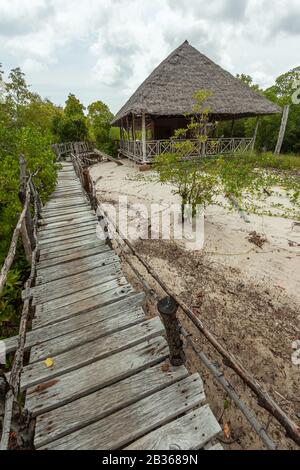Viewing/Lecture Point at Gazi Mangrove Boardwalk, Kenya Stock Photo - Alamy