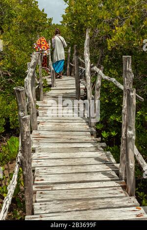 Female in Long Dress in Gazi Mangrove Boardwalk, Kenya Stock Photo - Alamy