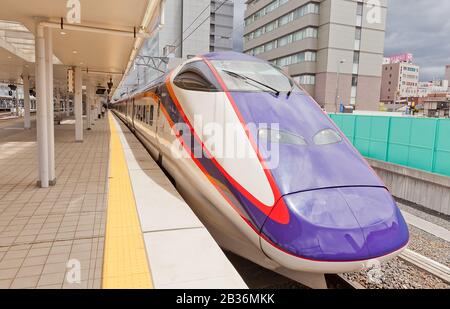 Japan Rail (JR East) E3 Series and E5 Series Shinkansen trains at Tokyo ...