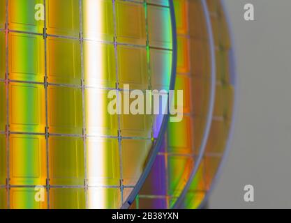 Silicon Wafers and Microcircuits,slice of semiconductor material, used ...