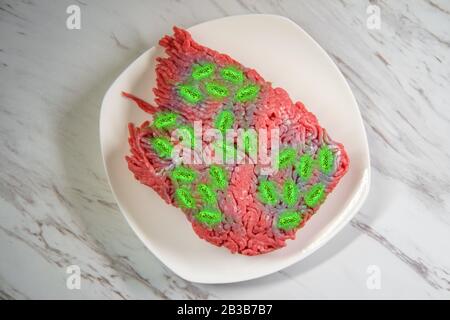 Escherichia coli also known as Ecoli bacteria infecting lettuce Stock ...