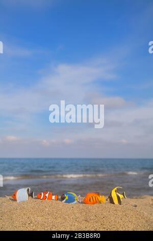 Many tropical fishes at the summer beach Stock Photo - Alamy