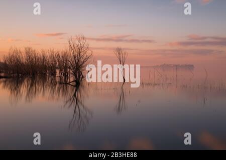symmetric reflections on calm lake water with forests and islands Stock ...