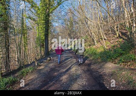 Two elderly people walking ramblers on remote country lane road up a ...
