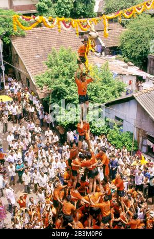 Human pyramid breaking pot of Dahi handi, Janmashtami janmashtmi gokul ...