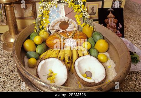 Palghat, Kerala, India, Asia Stock Photo - Alamy