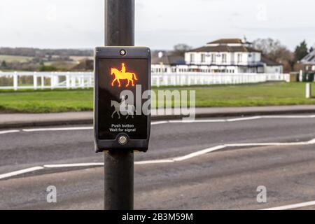 Horse rider traffic lights crossing known as a Pegasus crossing in The ...