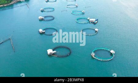 Aerial view of fish ponds for bangus, milkfish. Fish farm, top view ...
