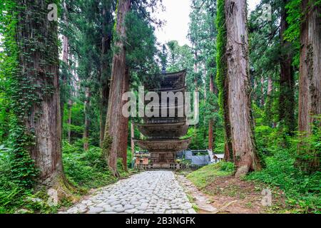 Five storey pagoda, Dewa sanzan Hagurosan temple, Yamagata Prefecture ...