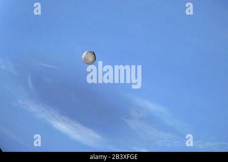 Proteus orbiting around Neptune planet. 3d render Stock Photo - Alamy