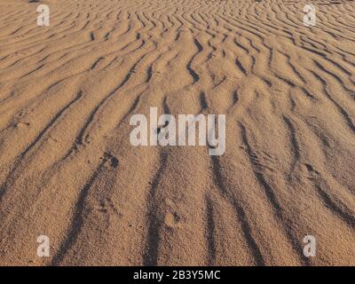 ripple marks in desert which forms by wind Stock Photo - Alamy