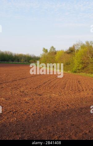 Ploughed Field of Fertile Red Devon Soil on a Spring Day. Ludwell ...