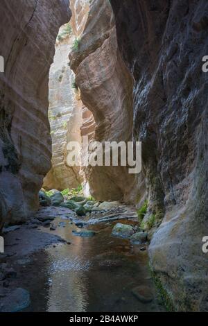 Avakas Gorge in Cyprus. Little river in foreground, sunlit rocks are in ...