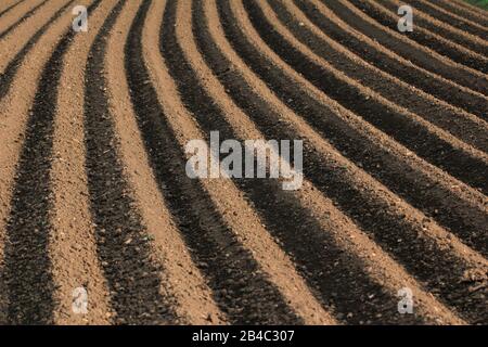 Parallel rows of a freshly tilled field during springtime Stock Photo ...