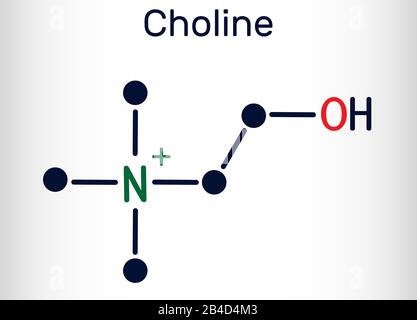 Choline vitamin-like essential nutrien molecule. It is a constituent of ...