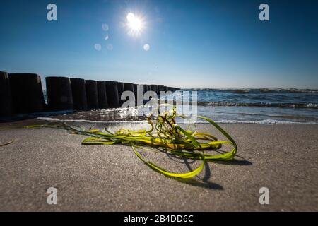 Baltic sea coast in warm winter day next to Bernati, Latvia Stock Photo ...