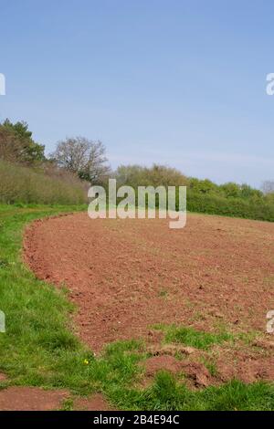 Ploughed Field of Fertile Red Devon Soil on a Spring Day at Dusk ...