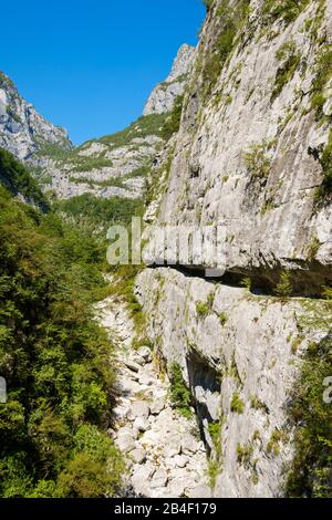 Hiking trail in the rock, Mrtvica Canyon, at Kolasin, Montenegro Stock ...