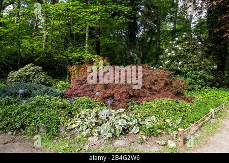 Europe, Poland, Voivodeship Lodz, Arboretum Rogow Stock Photo - Alamy