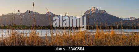 Sunrise, Hopfensee, near Füssen, Ostallgäu, Allgäu, Upper Swabia ...