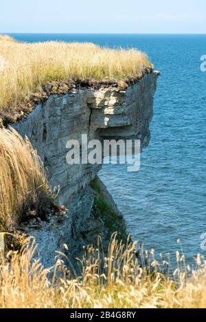Estland, Ostseeküste, Pakri-Pank, Steilküste, neuer Leuchtturm Stock ...