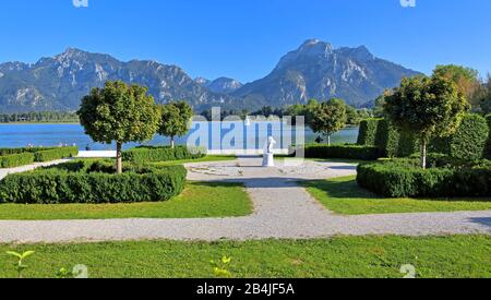 Forggensee, lake, Säuling and Neuschwanstein Castle, Halblech ...
