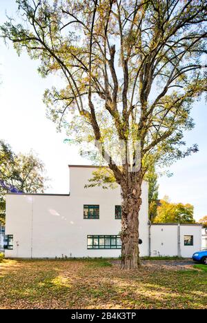 Rector's Residence, Bauhaus, Architecture, Otto Haesler, House View ...