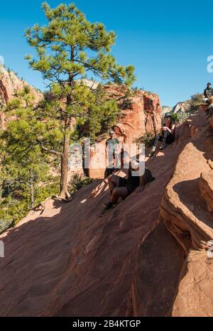 USA, Utah, Springdale, Zion National Park, Big Bend looking towards the ...