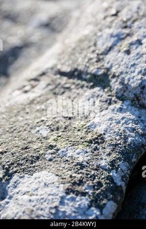 Macro of a granite structure with lichen Stock Photo - Alamy