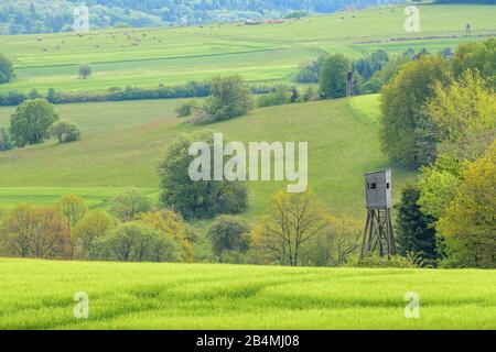 Landscape with grainfield and forest in spring, Wiesen, Spessart ...