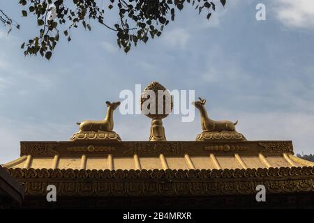 Gajur and deer in the top of the entrance gate to the Buddha Park at ...