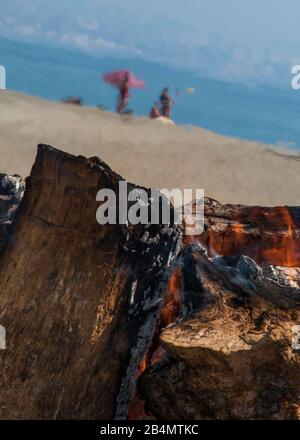 traditional skewer of sardines on fire Stock Photo - Alamy
