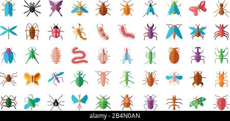 bugs and insect icon set over white background, flat style, vector ...