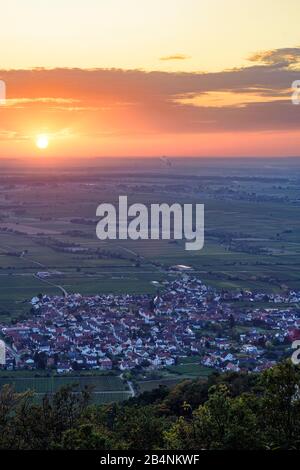 Europe Germany Rhineland-Palatinate Neustadt an der Weinstrasse wine ...
