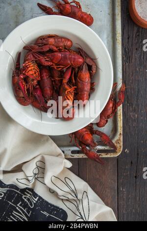 A crayfish also known as a (yabbie) with blue claws on a white ...