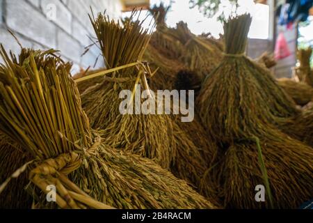 Traditional storage of grain rice paddy, Tamil Nadu, South India, India ...