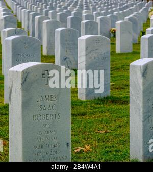 park, cemetery, graves, dead, grave, old, religion, remember, park ...