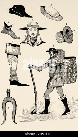 Middle Ages. Occupations and professions. Field farmer, Ministriles ...